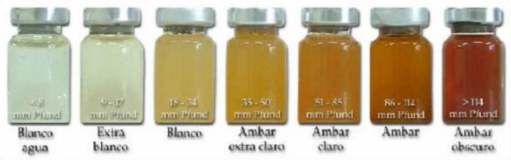 Cómo elegir la MEJOR MIEL y aprovechar los BENEFICIOS